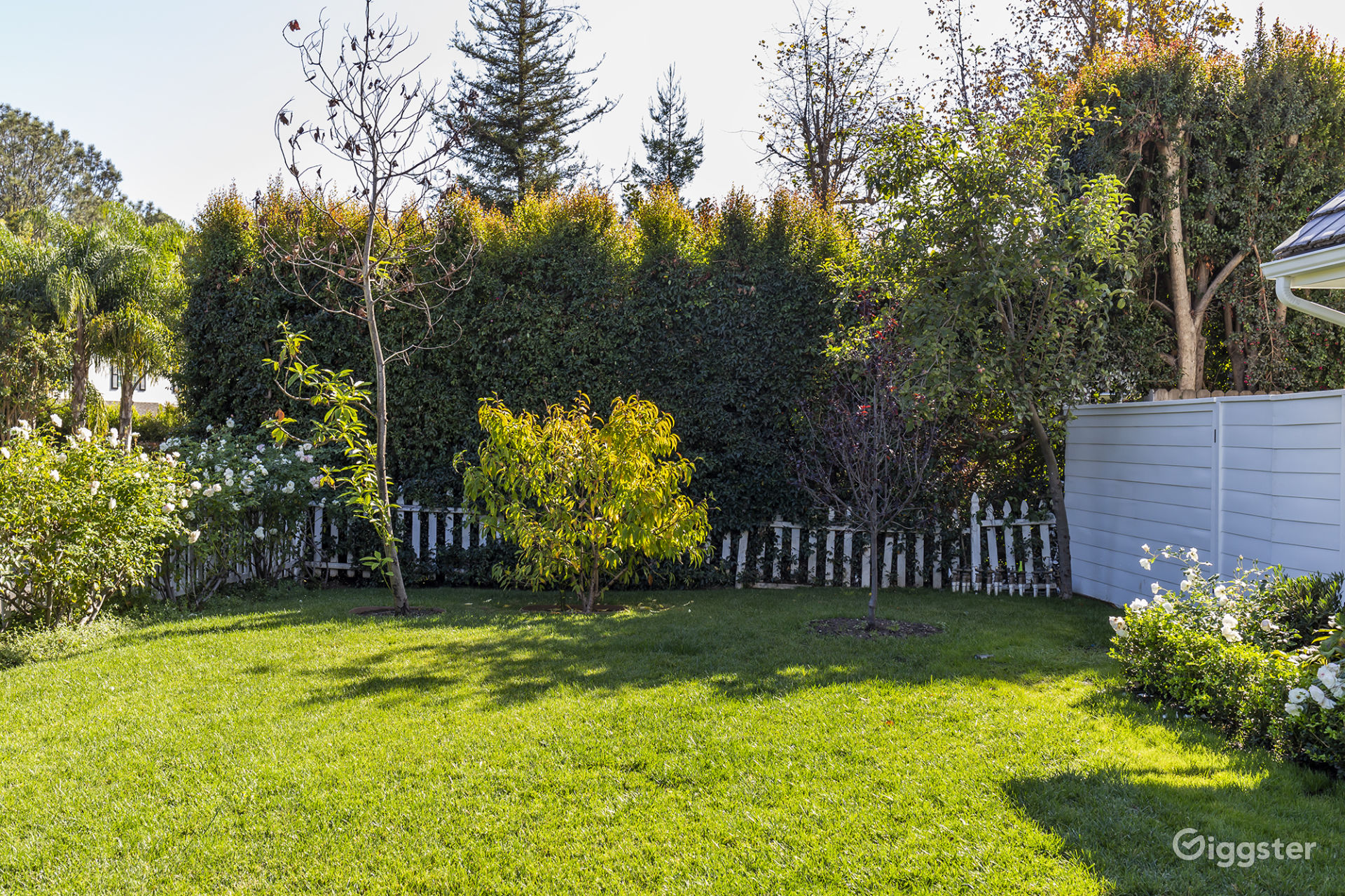 The BEST 10 Graduation Party venues near me | Giggster