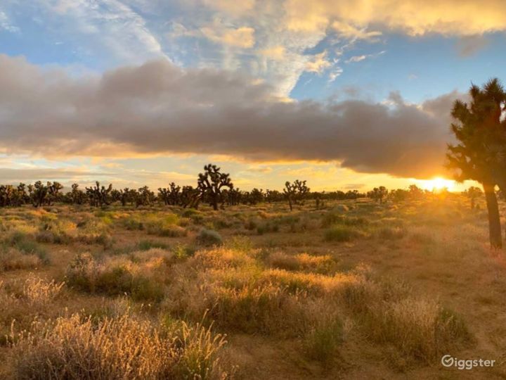 Joshua Tree Ranch Los Angeles | Rent this location on Giggster