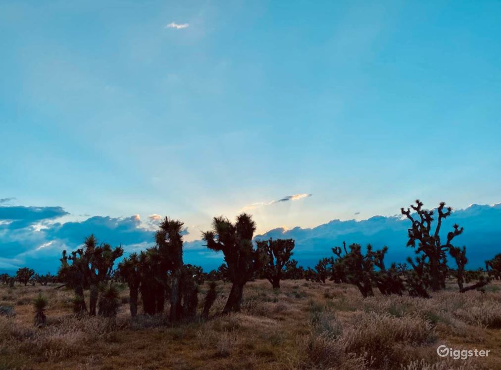 Joshua Tree Ranch Los Angeles | Rent this location on Giggster