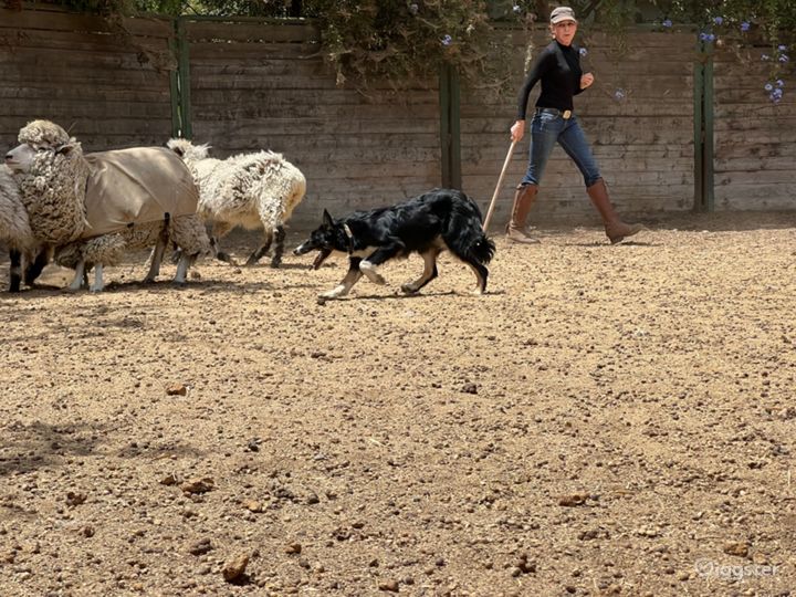 Working Sheep Farm Ranch with Lovely Cottages | Rent this location on ...