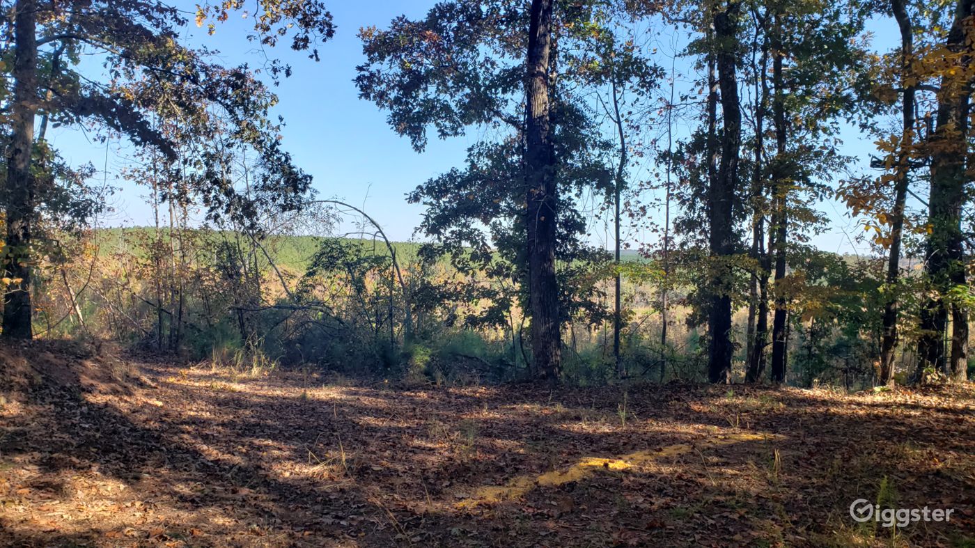 Huge 50 acres land in Georgia forest. | Rent this location on Giggster