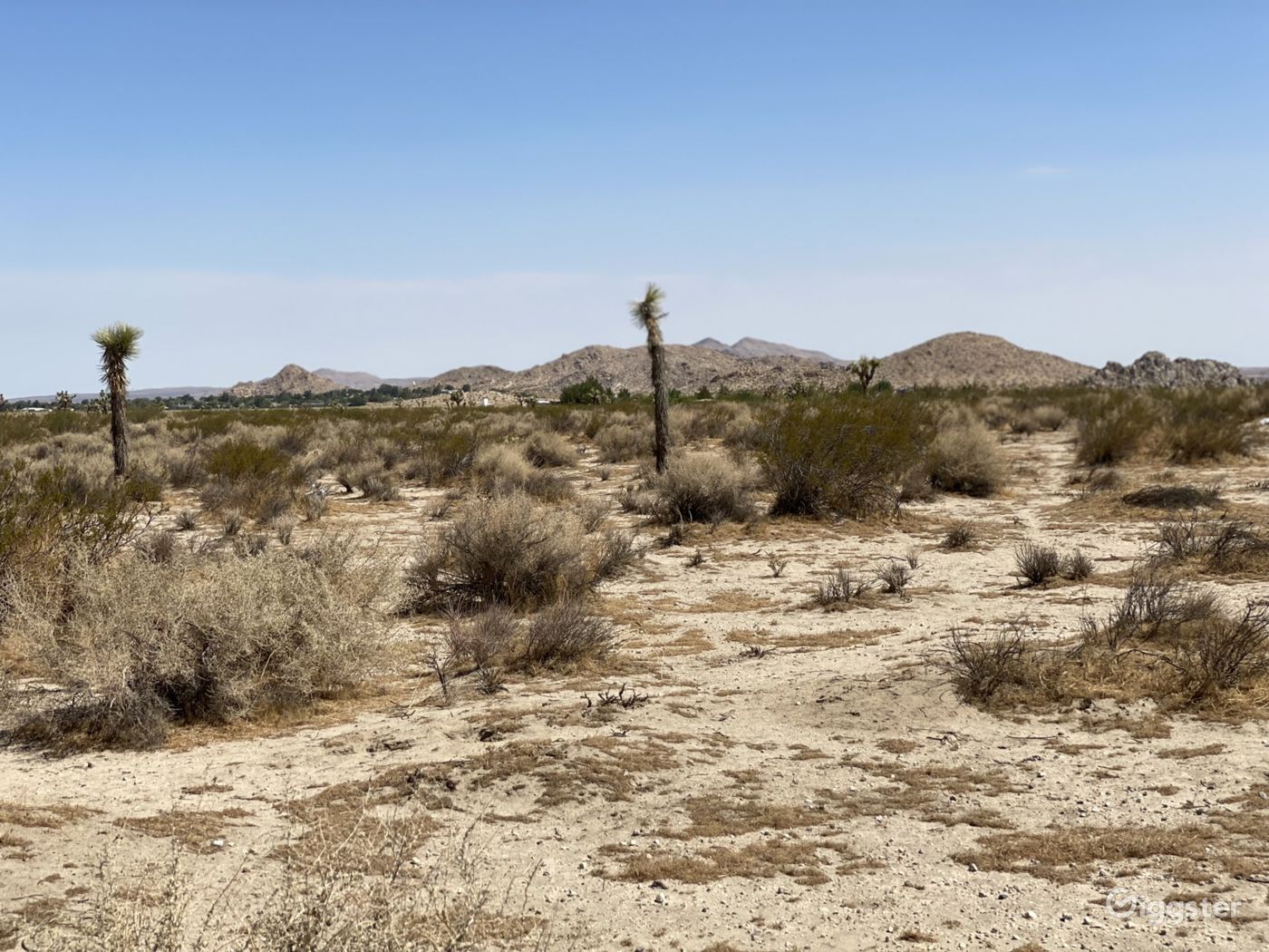 Open Desert Location! | Rent this location on Giggster