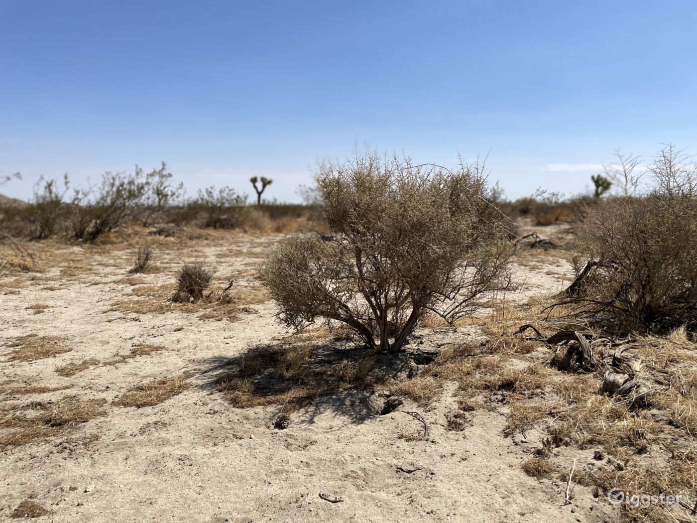 Open Desert Location! | Rent this location on Giggster