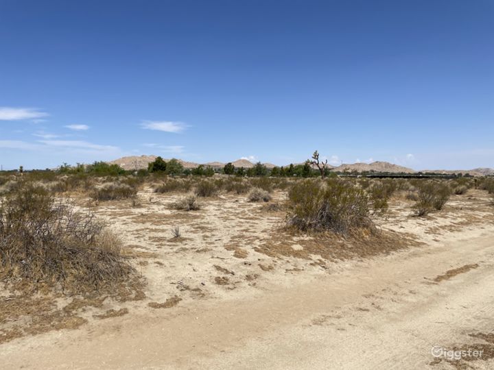 Open Desert Location! | Rent this location on Giggster