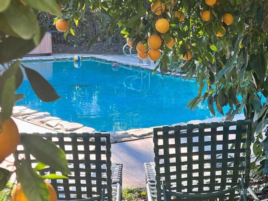 Iconic 1950s Pool Experience | Rent this location on Giggster