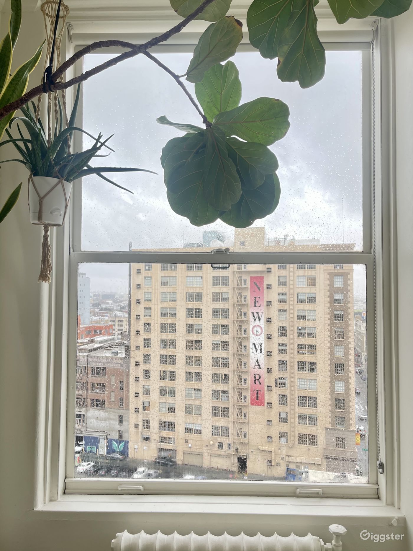 Natural Light Photo Space w/ stunning views | Rent this location on ...