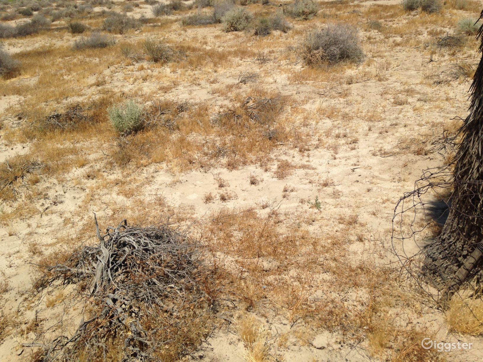 Desert Land | Rent this location on Giggster