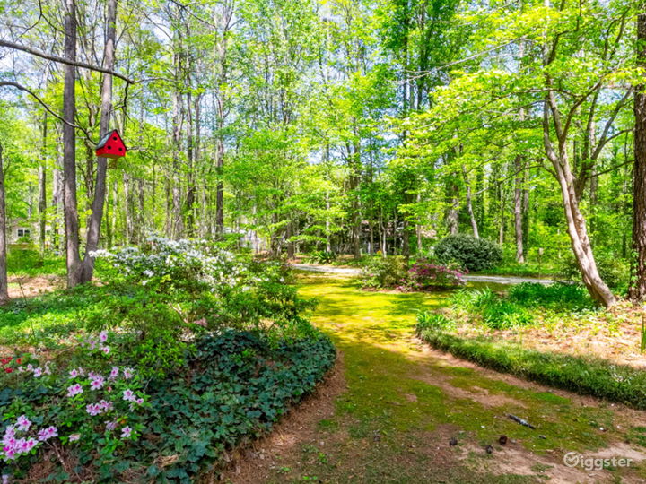 Large Secluded Lake Home Beautiful Outdoor Space | Rent this location ...