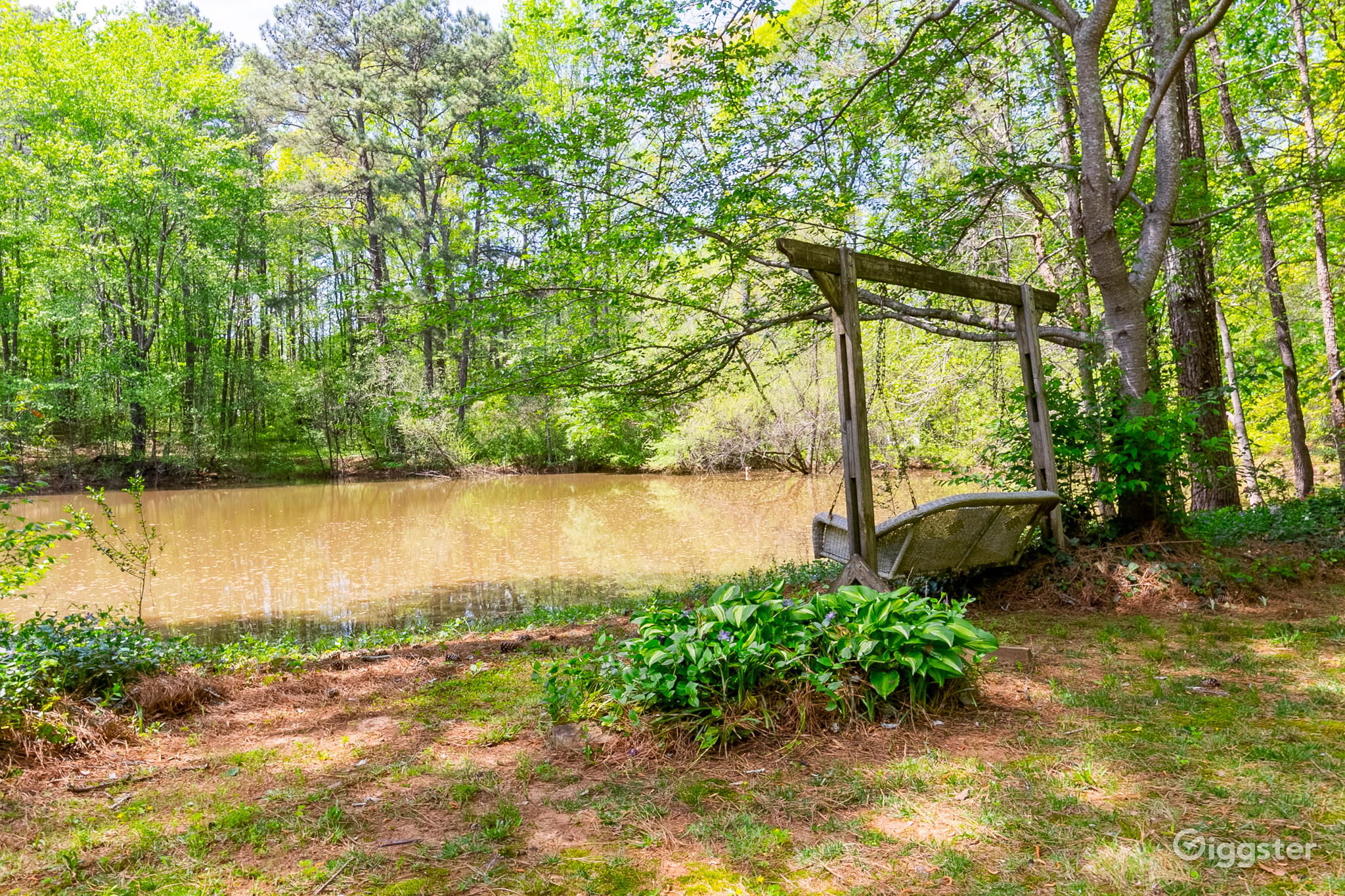 Large Secluded Lake Home Beautiful Outdoor Space | Rent this location ...
