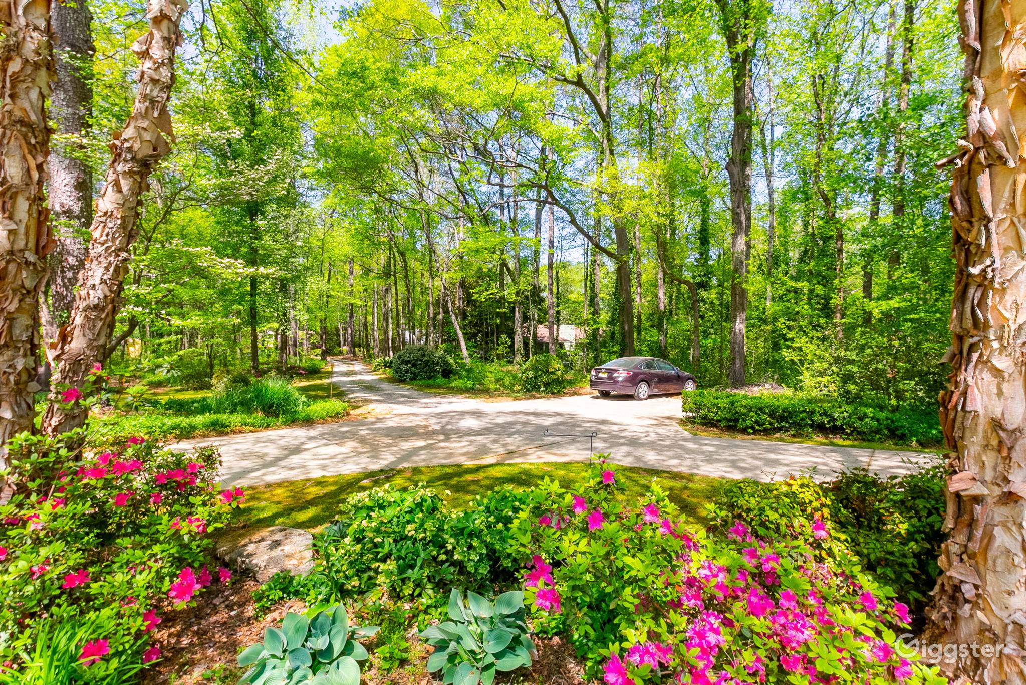 Large Secluded Lake Home Beautiful Outdoor Space | Rent this location ...