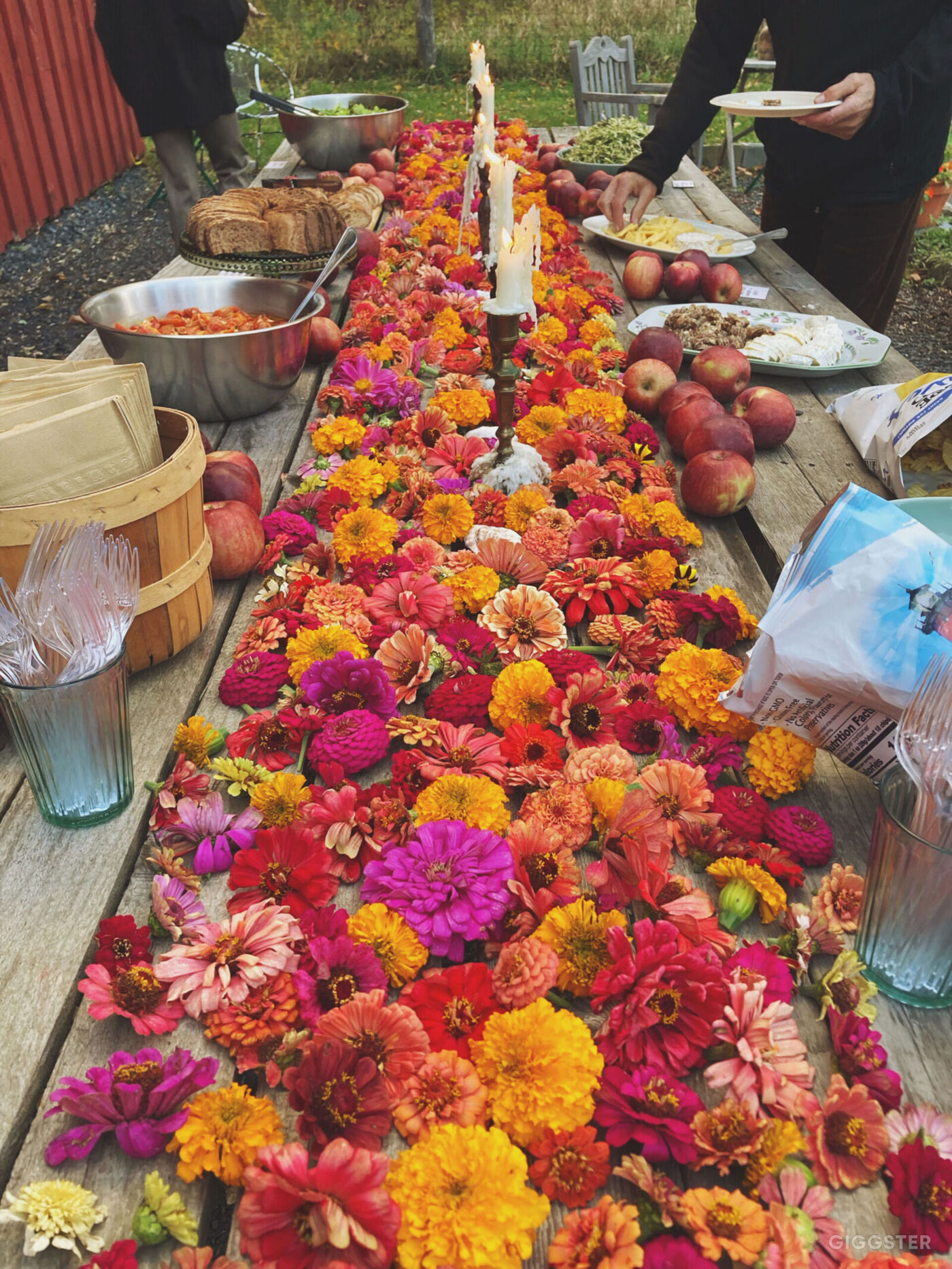 Rustic Flower Farm Amidst 641-Acre Bird Sanctuary | Rent this location ...