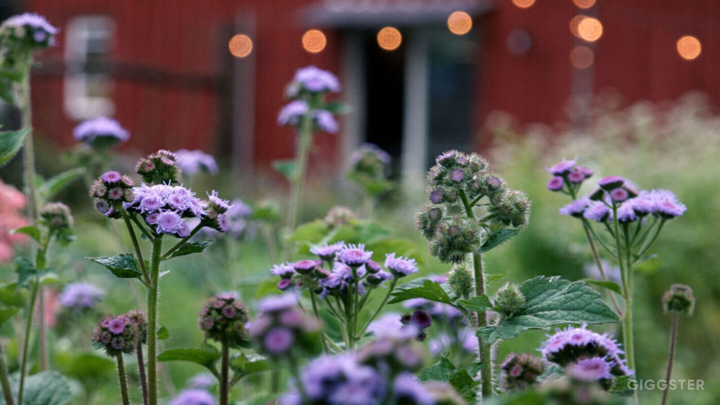 Rustic Flower Farm Amidst 641-Acre Bird Sanctuary | Rent this location ...