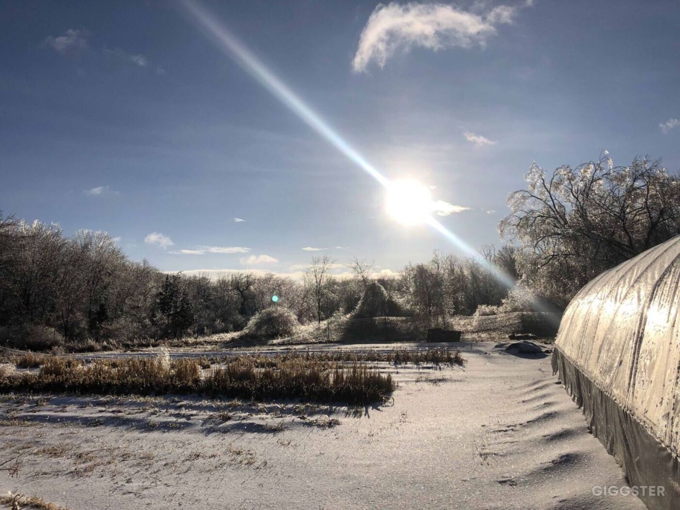 Rustic Flower Farm Amidst 641-Acre Bird Sanctuary | Rent this location ...