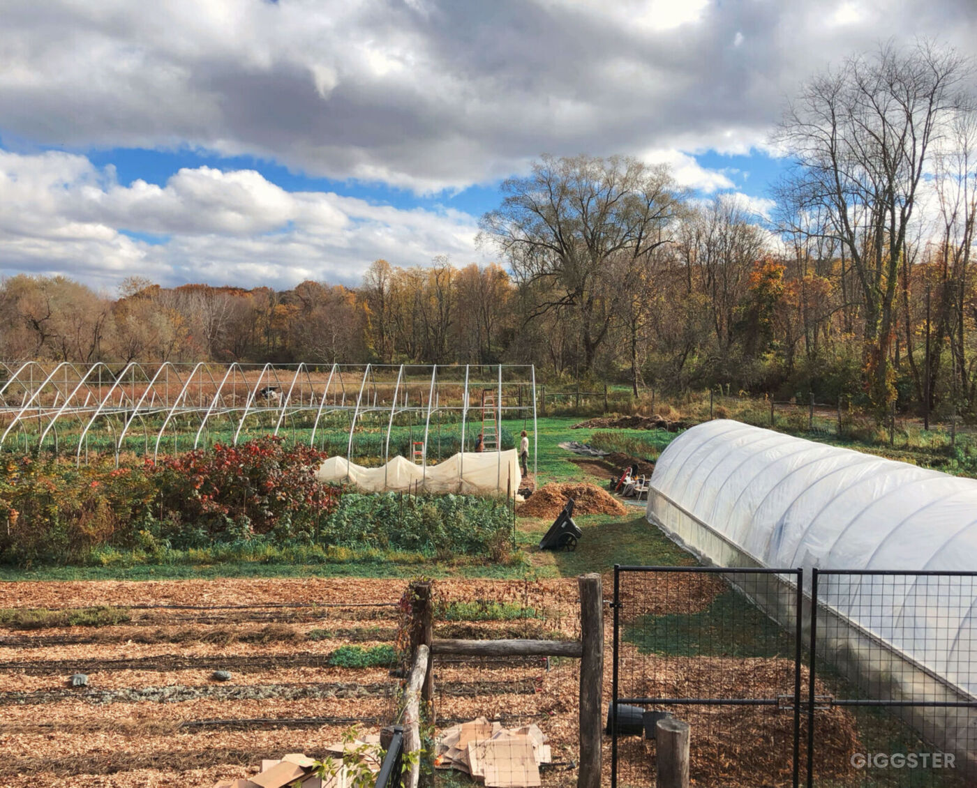 Rustic Flower Farm Amidst 641-Acre Bird Sanctuary | Rent this location ...