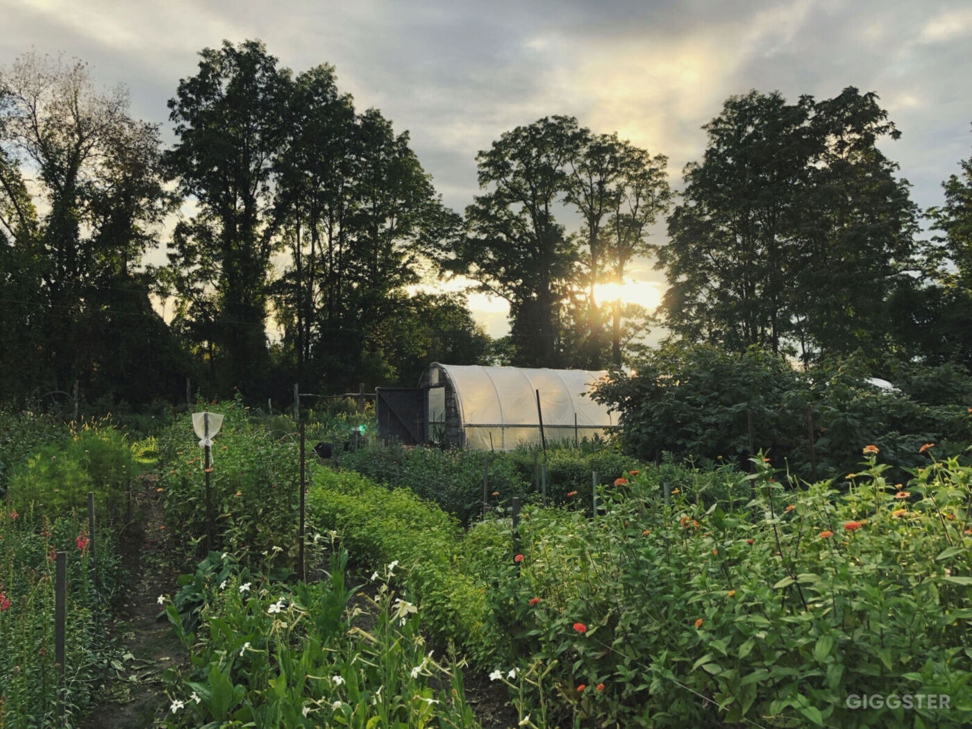 Rustic Flower Farm Amidst 641-Acre Bird Sanctuary | Rent this location ...