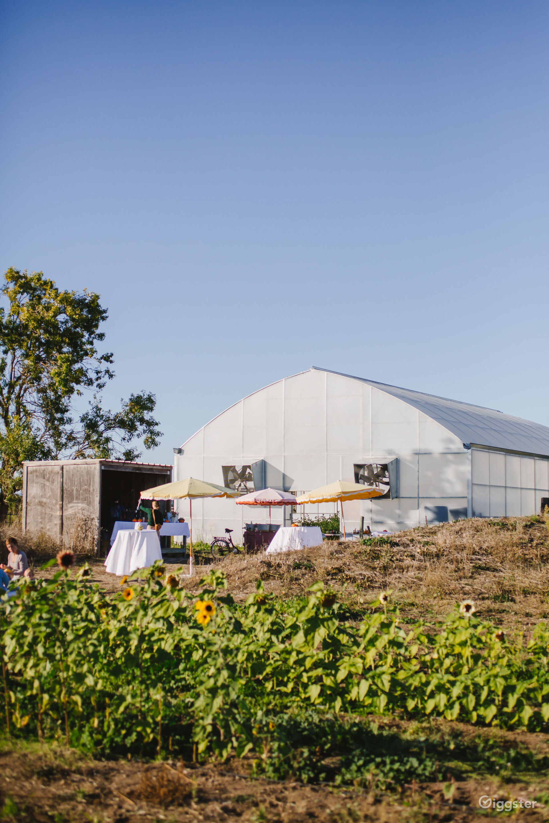 Rustic Barn & Organic Flower Farm | Rent this location on Giggster