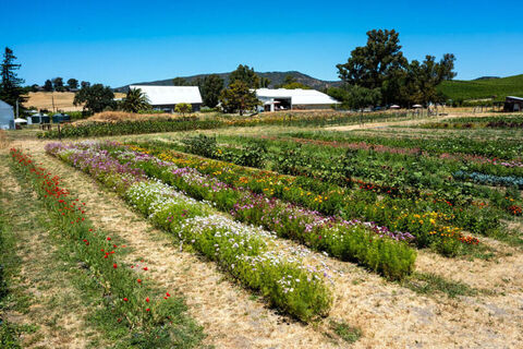 Rustic Barn & Organic Flower Farm | Rent this location on Giggster