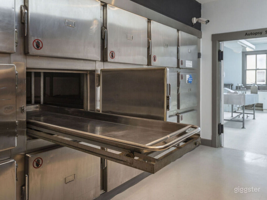 The Morgue Autopsy Set | Rent this location on Giggster