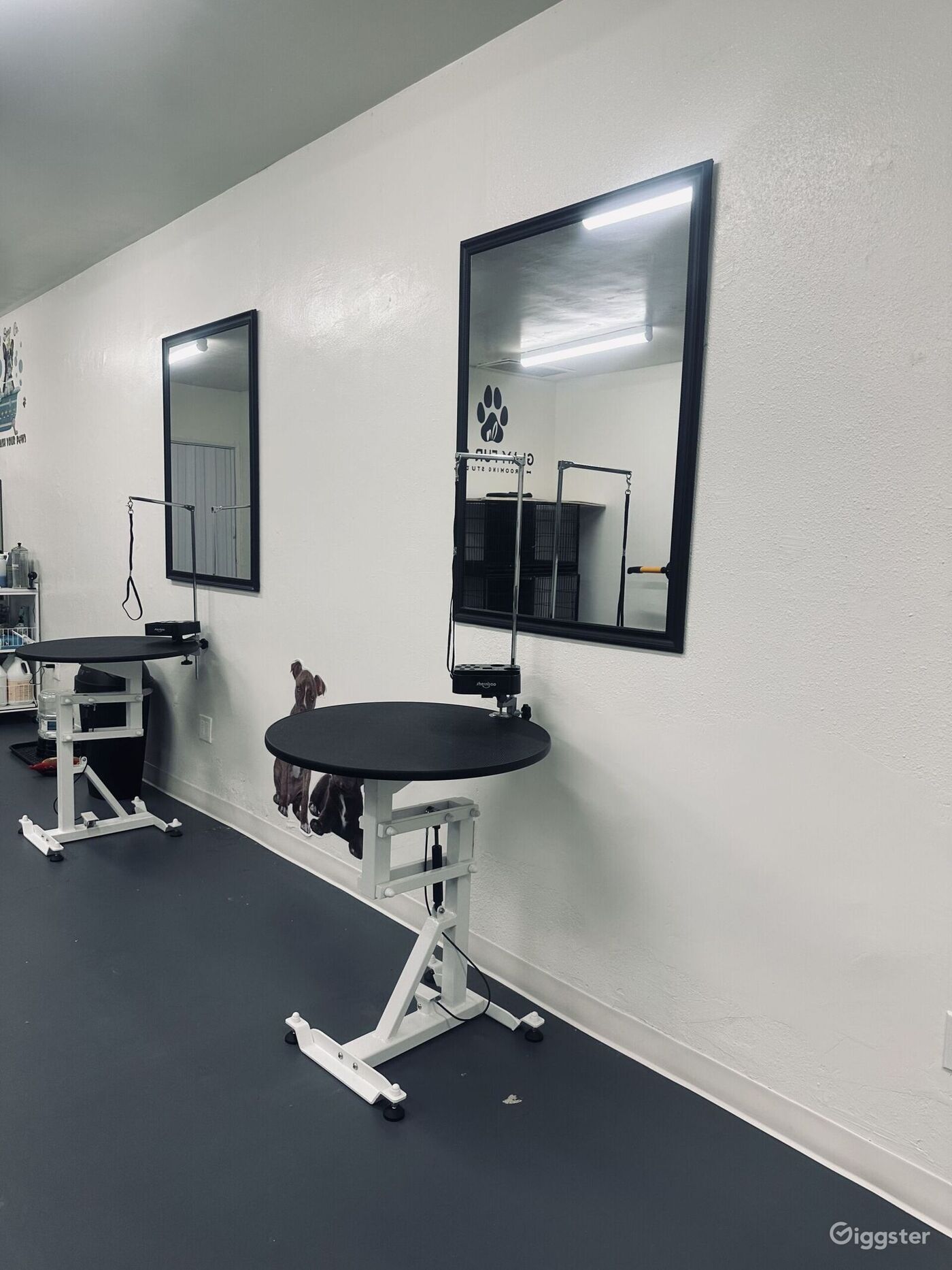 Dog Grooming Studio Spa | Rent this location on Giggster
