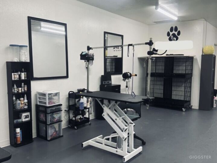 Dog Grooming Studio Spa | Rent this location on Giggster