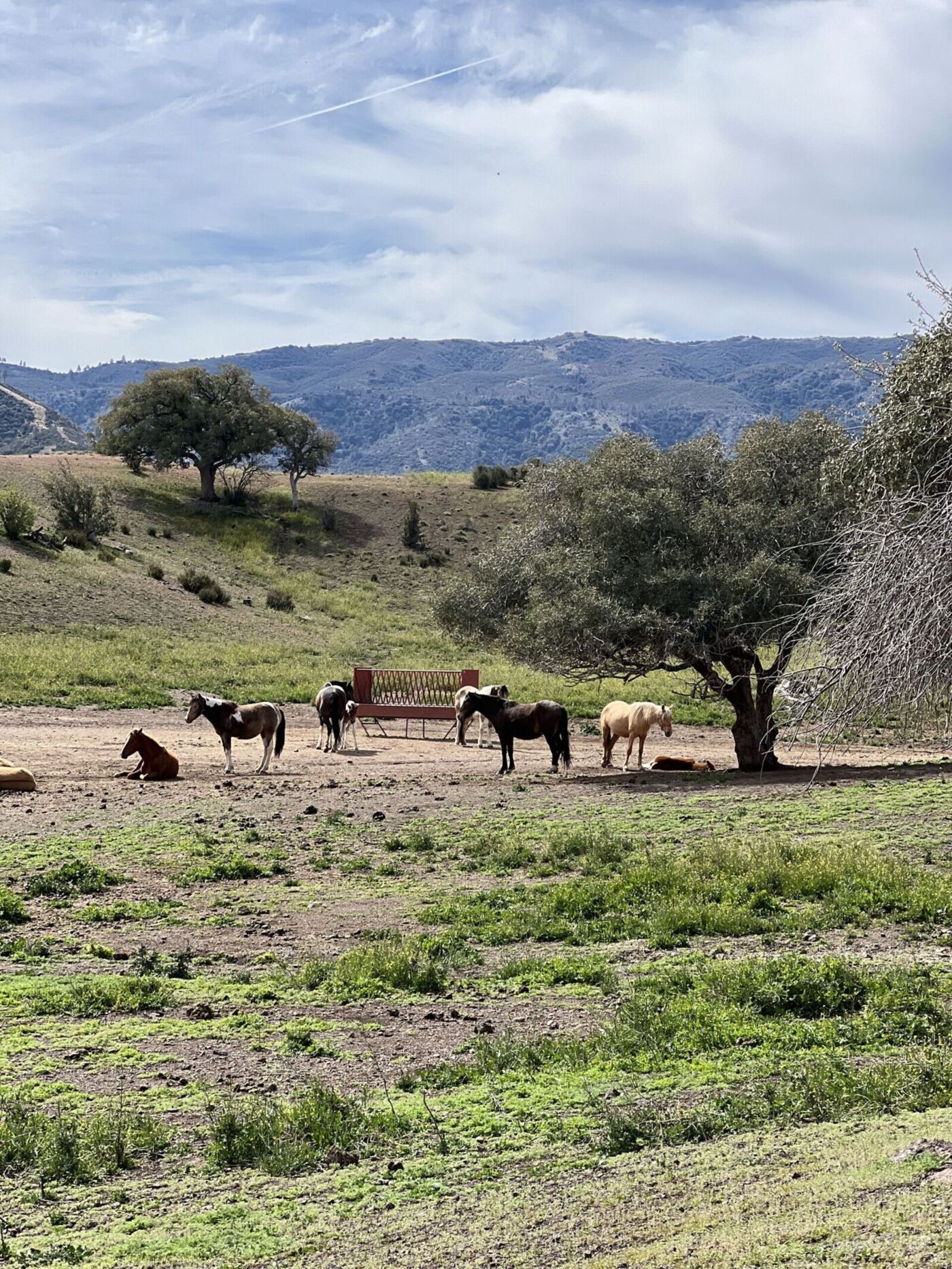 The Mustangs Ranch | Rent this location on Giggster