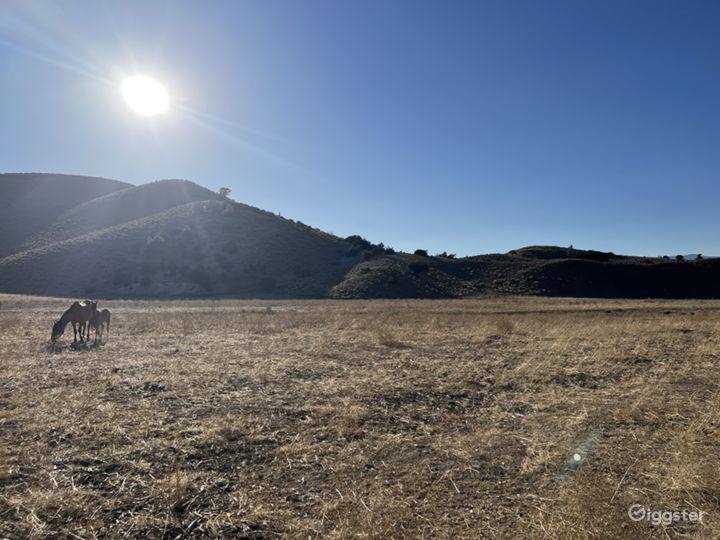 The Mustangs Ranch | Rent this location on Giggster