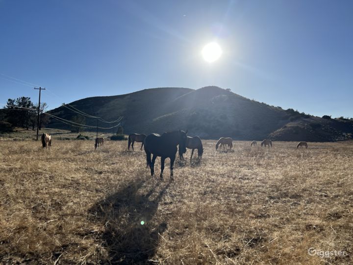 The Mustangs Ranch | Rent this location on Giggster