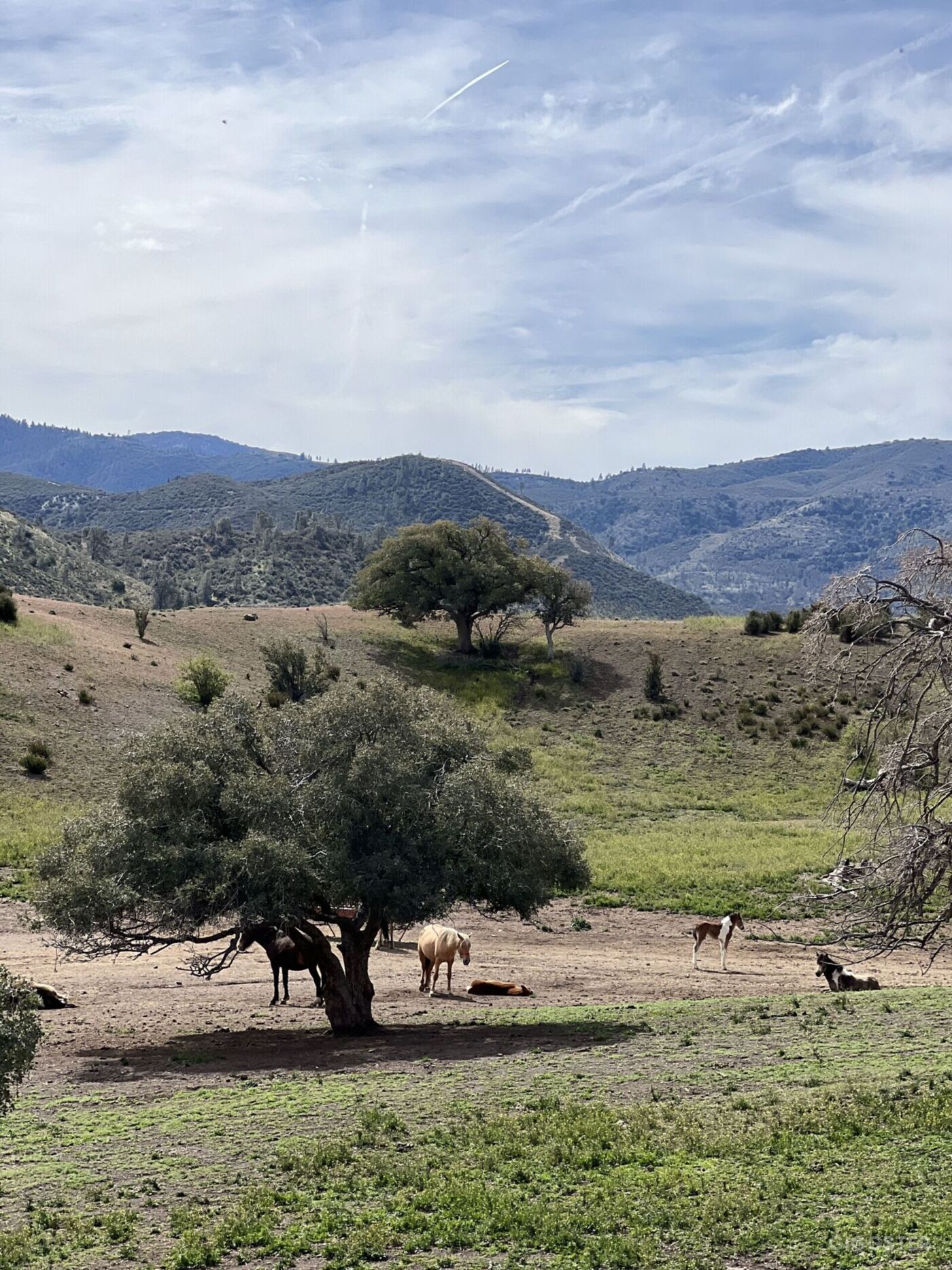 The Mustangs Ranch | Rent this location on Giggster