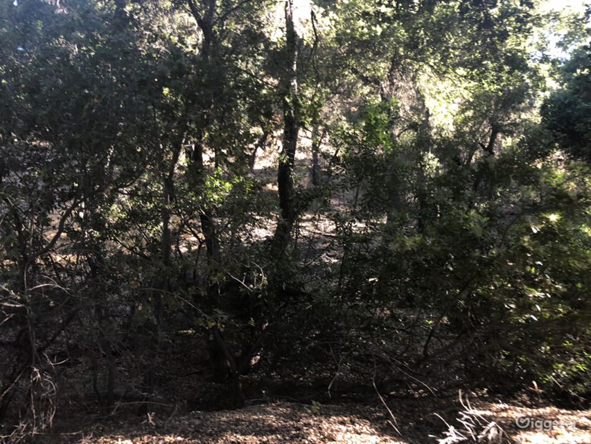 30 Mile Zone Ranch | Rent this location on Giggster