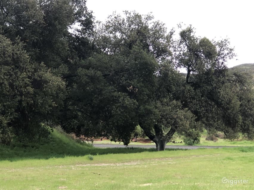 30 Mile Zone Ranch | Rent this location on Giggster