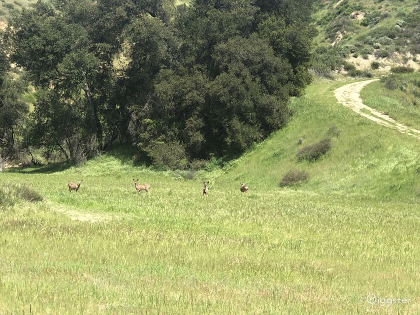 30 Mile Zone Ranch | Rent this location on Giggster