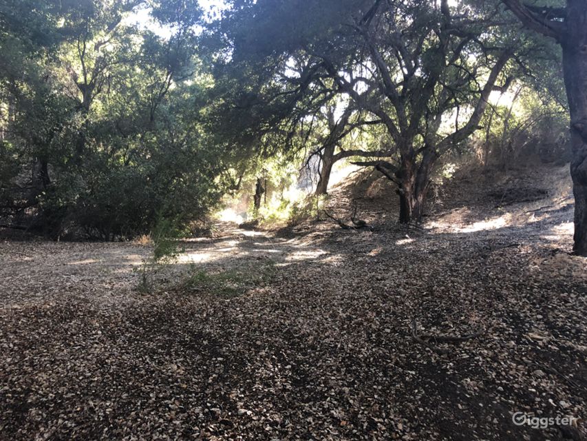 30 Mile Zone Ranch | Rent this location on Giggster