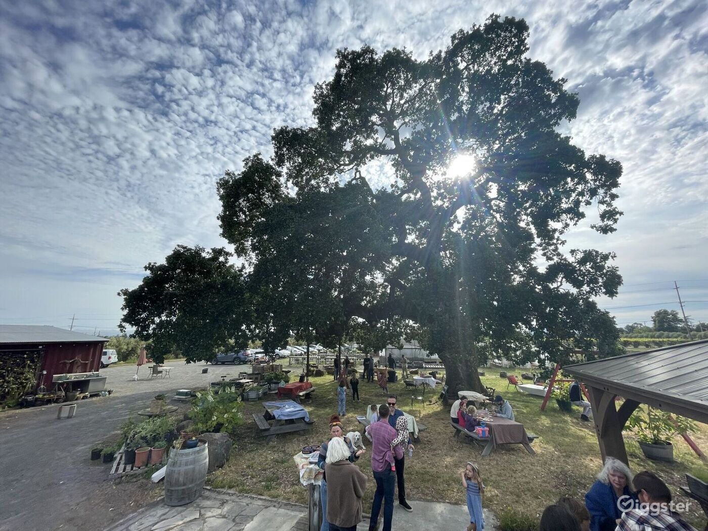 Rustic Farm w/ Oak Tree - Events & Photo Shoots | Rent this location on ...