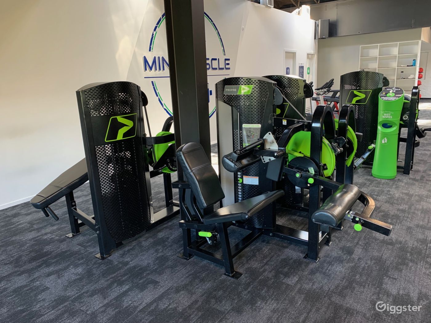 A Naturally Lit Gym Space in Dunedin | Rent this location on Giggster