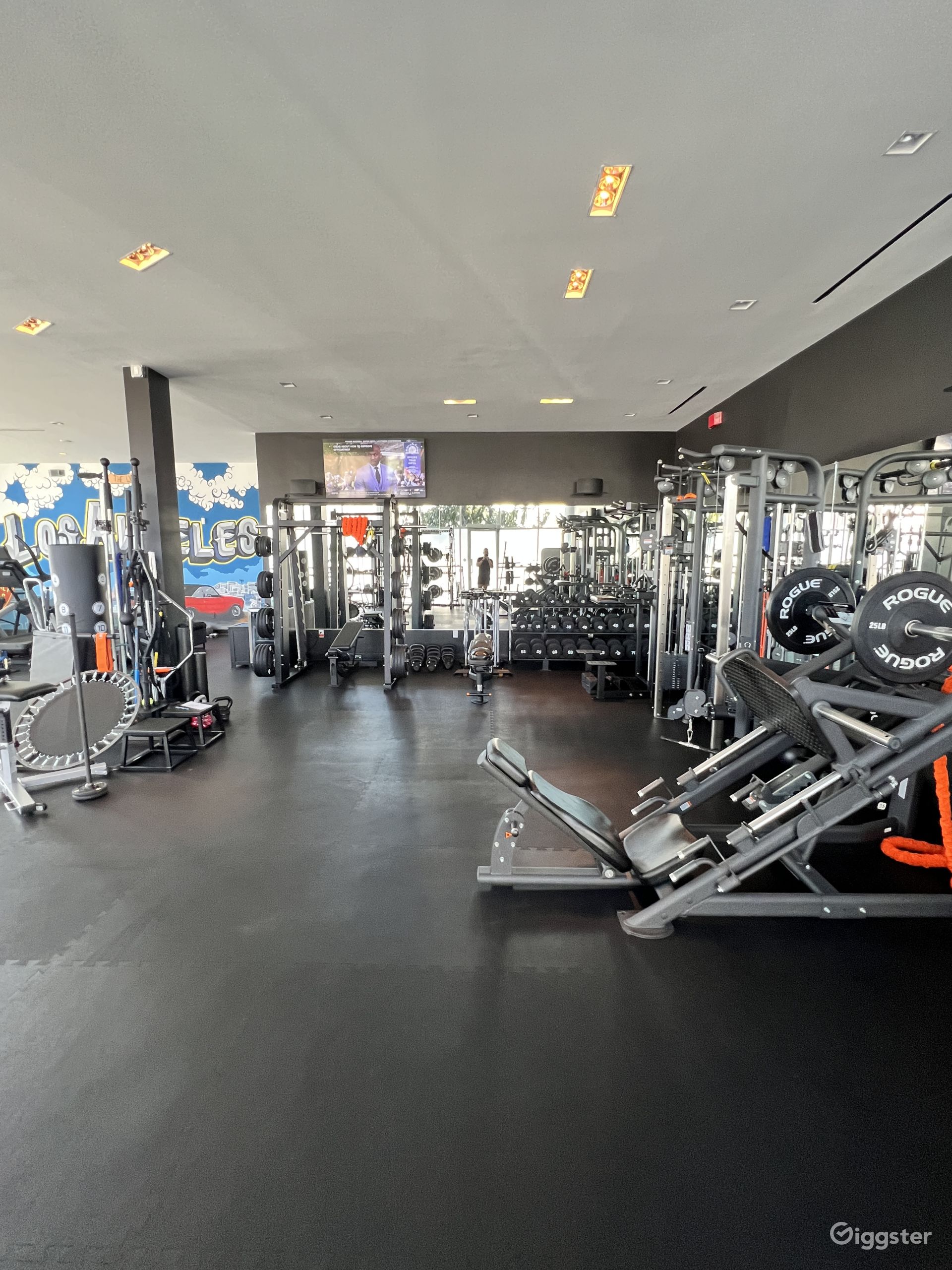 Modern and High-tech Private Gym | Rent this location on Giggster