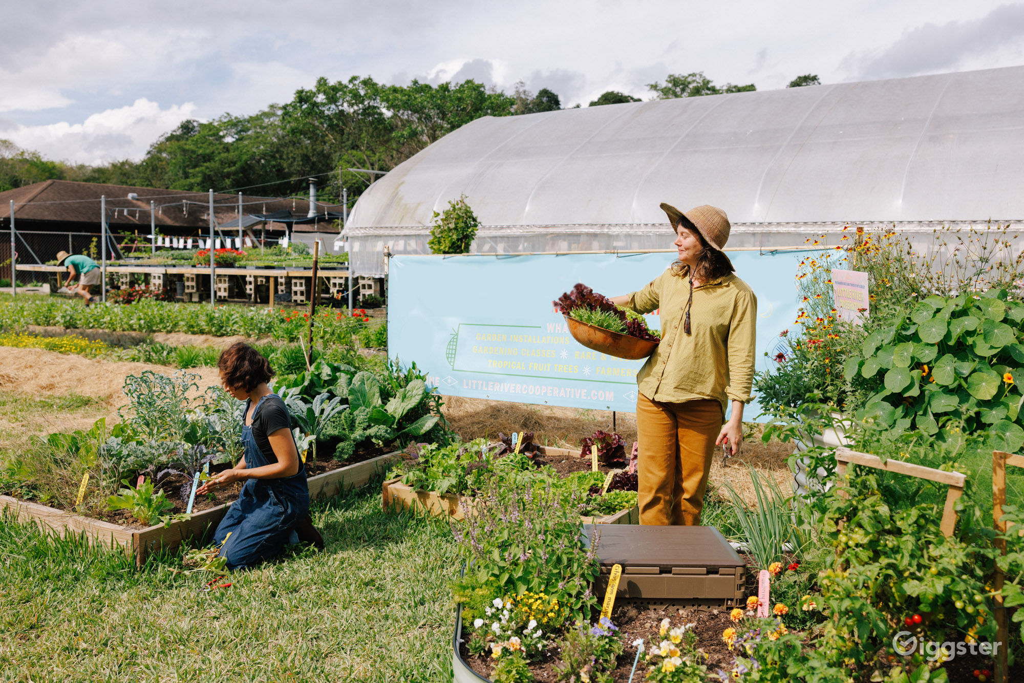 Little Farm Garden