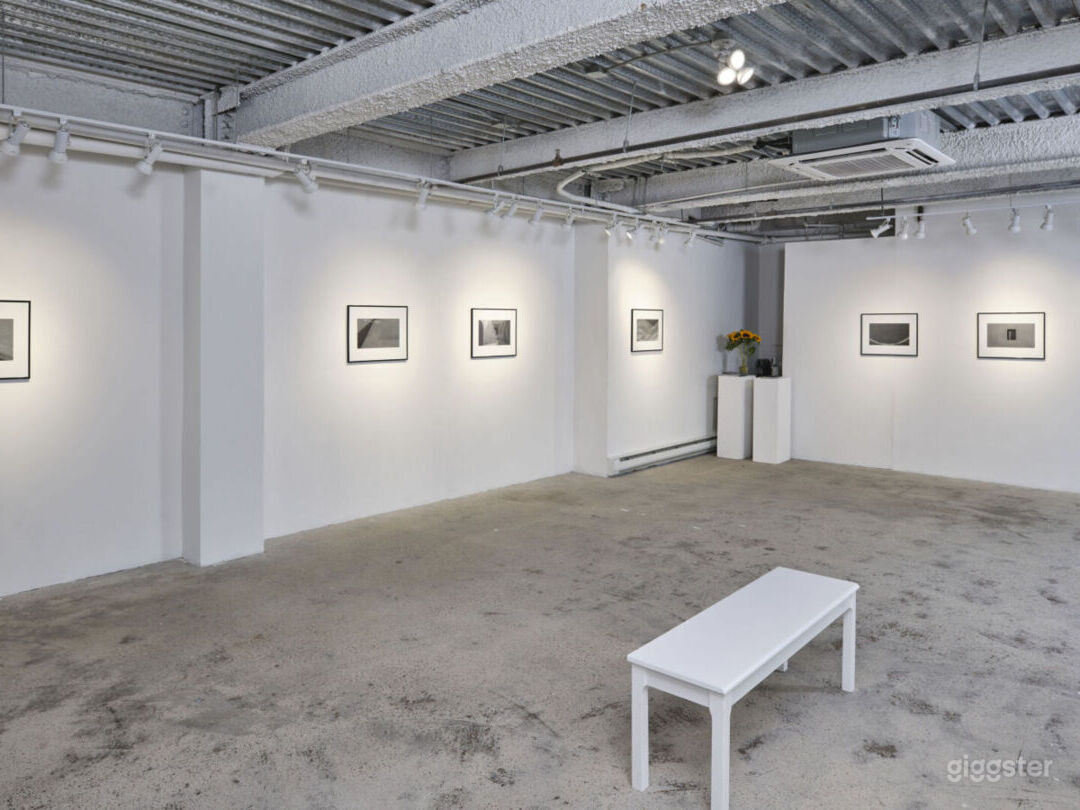 Spacious Accessible & Street Level Art Gallery | Rent this location on ...