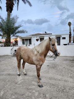 Jewelz Ranch | Rent this location on Giggster