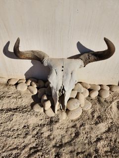 Jewelz Ranch | Rent this location on Giggster