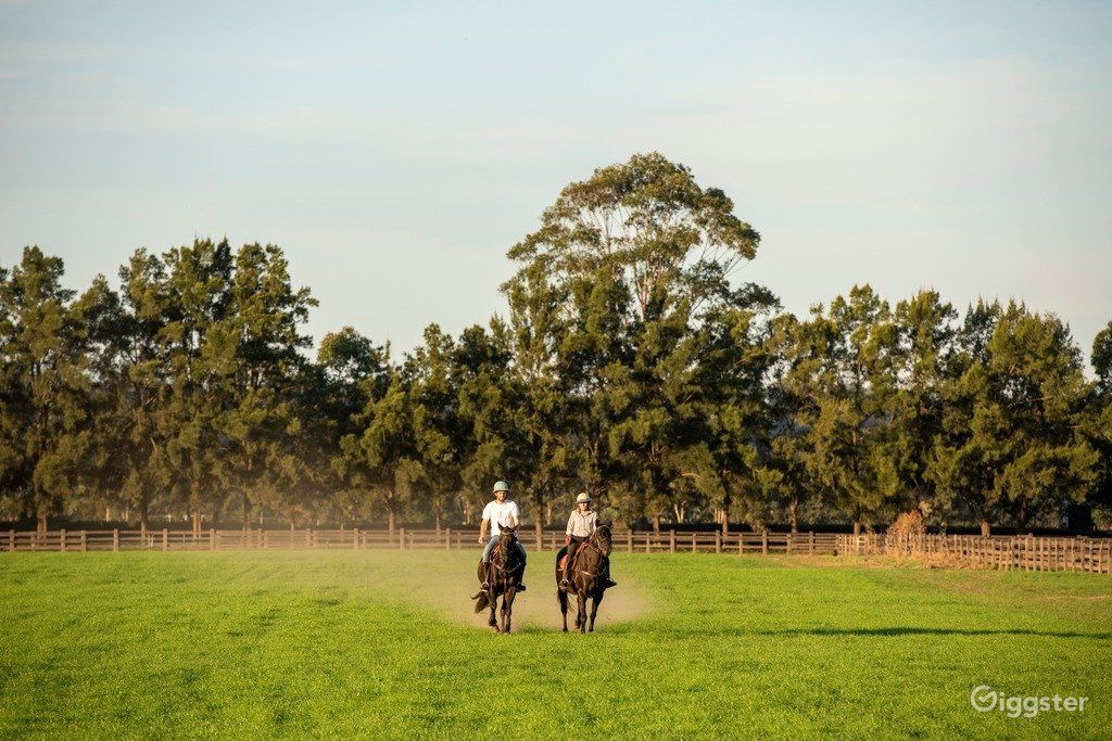 Stud Farm | Rent this location on Giggster