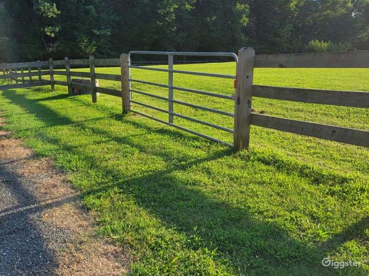 Mini Horse Farm With Beautiful Pastures! | Rent this location on Giggster