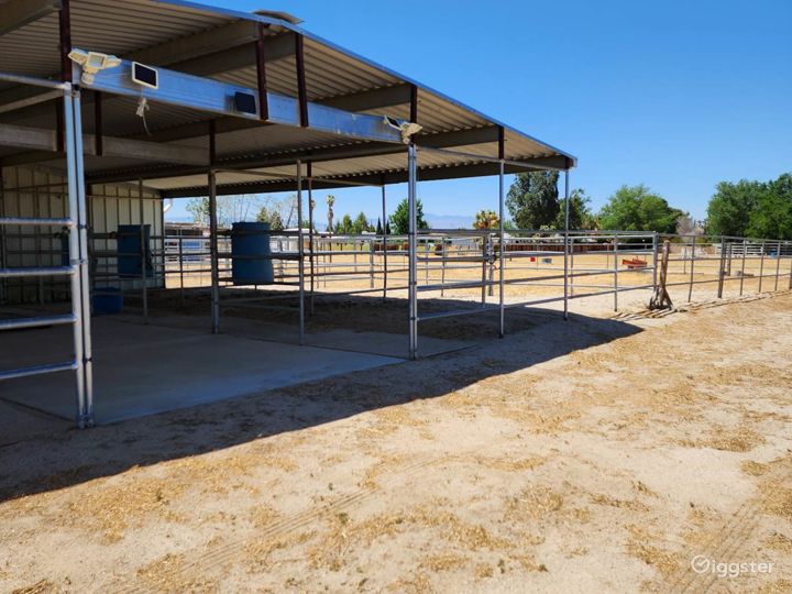 Desert horse stalls, riding paddock | Rent this location on Giggster