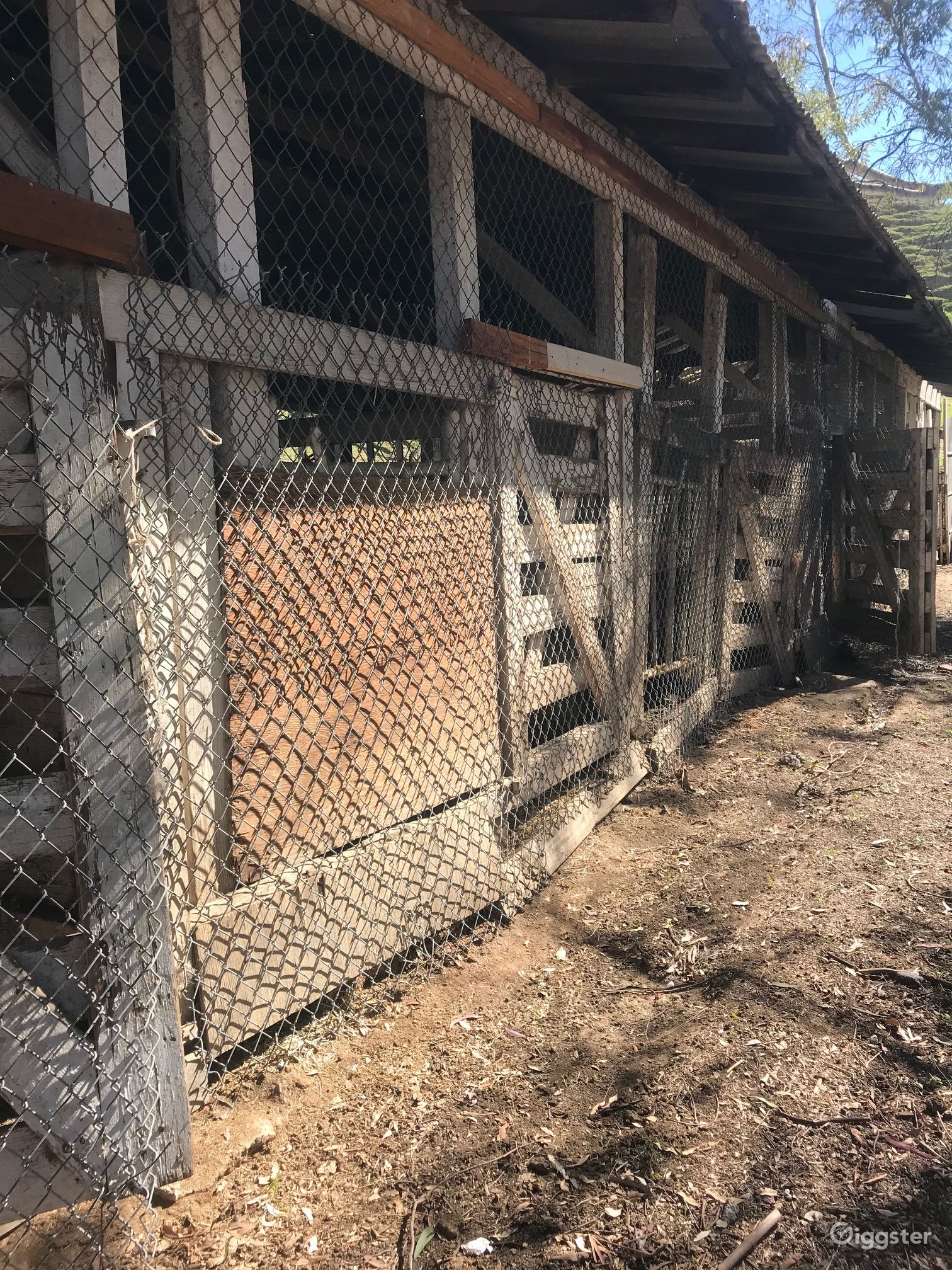 Neglected Abandoned Ranch with Barns | Rent this location on Giggster