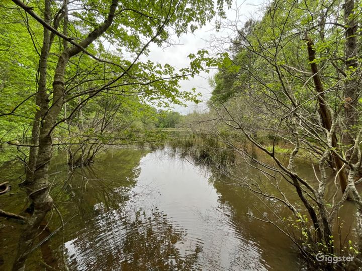 Beautiful wooded forest with pond in Georgia | Rent this location on ...