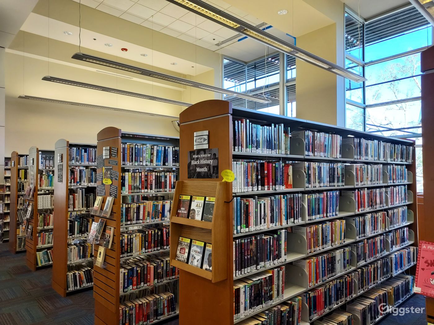 Public library in Carver Branch | Rent this location on Giggster