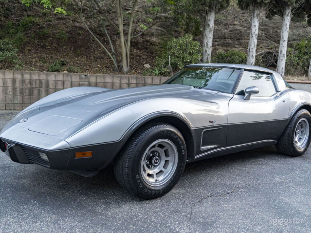 Exquisite 25th Anniversary Two-Tone 1978 Silver Corvette | Rent this ...