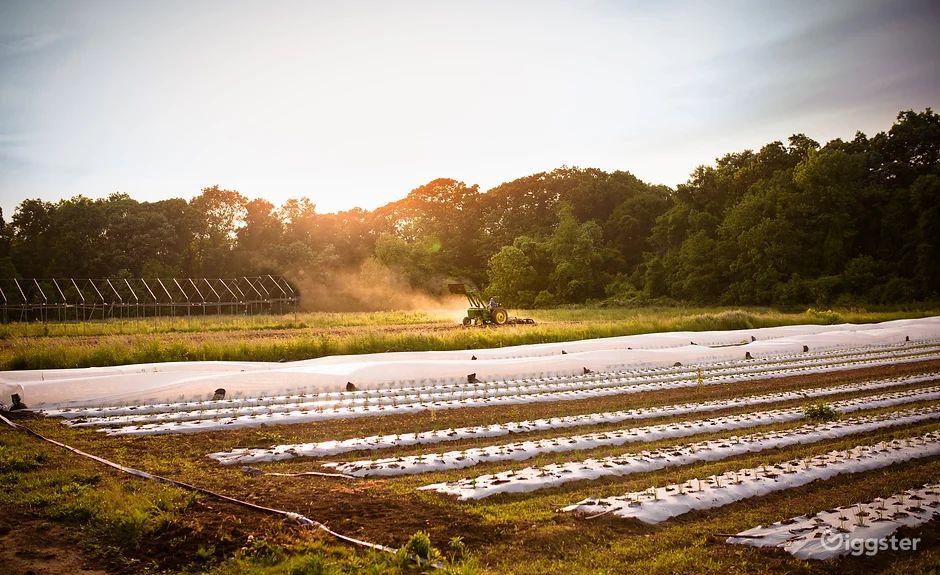 20 Acres Farm with Green Lawns and Greenhouses | Rent this location on ...