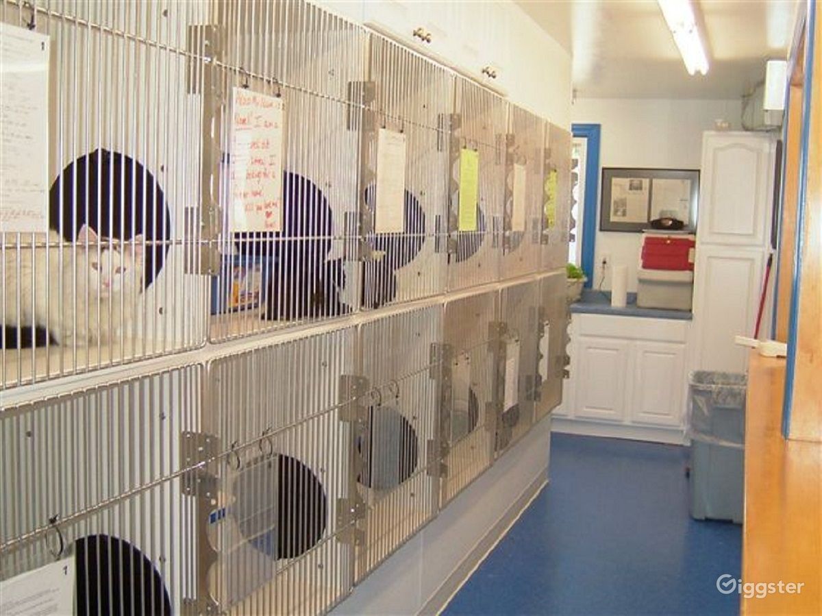 UNIQUE MULTI-BUILDING ANIMAL SHELTER & VET CLINIC | Rent this location ...