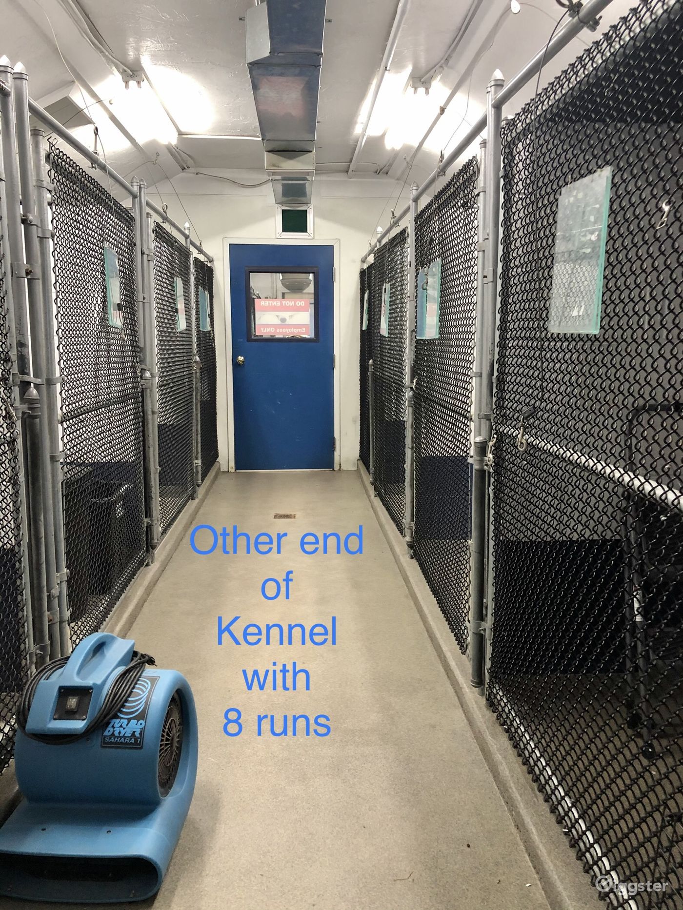 UNIQUE MULTI-BUILDING ANIMAL SHELTER & VET CLINIC | Rent this location ...