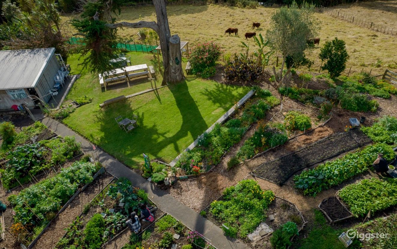 Wonderful Community Farm in the Heart of Auckland | Rent this location ...